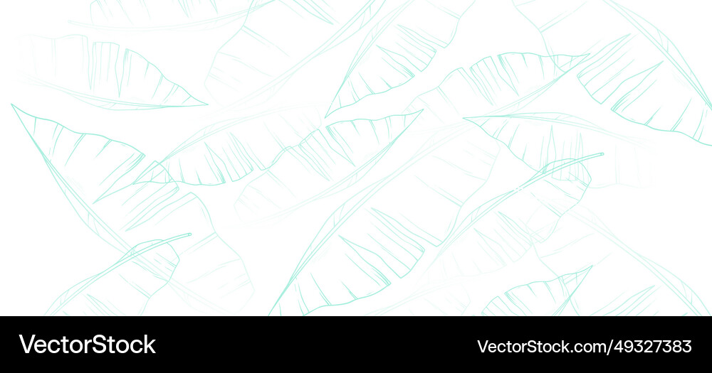 Banana leaf outline background wallpaper Vector Image