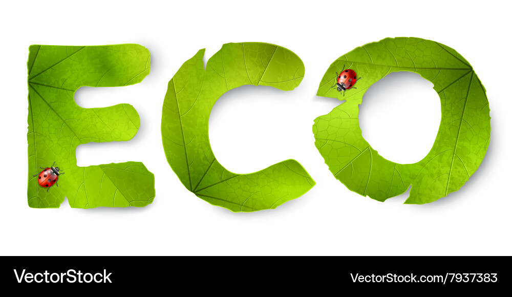 Eco word made from green leaves Royalty Free Vector Image
