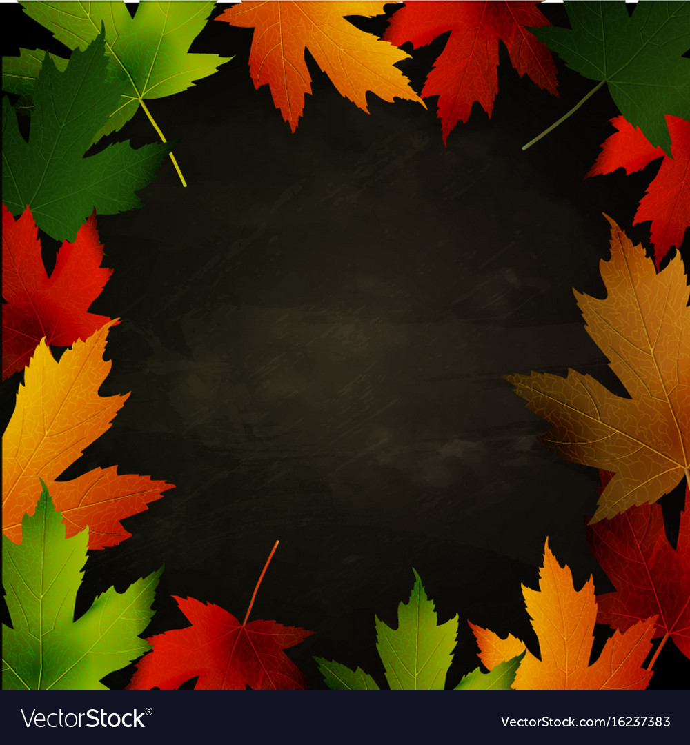 Frame autumn leaves painted on black chalkboard Vector Image
