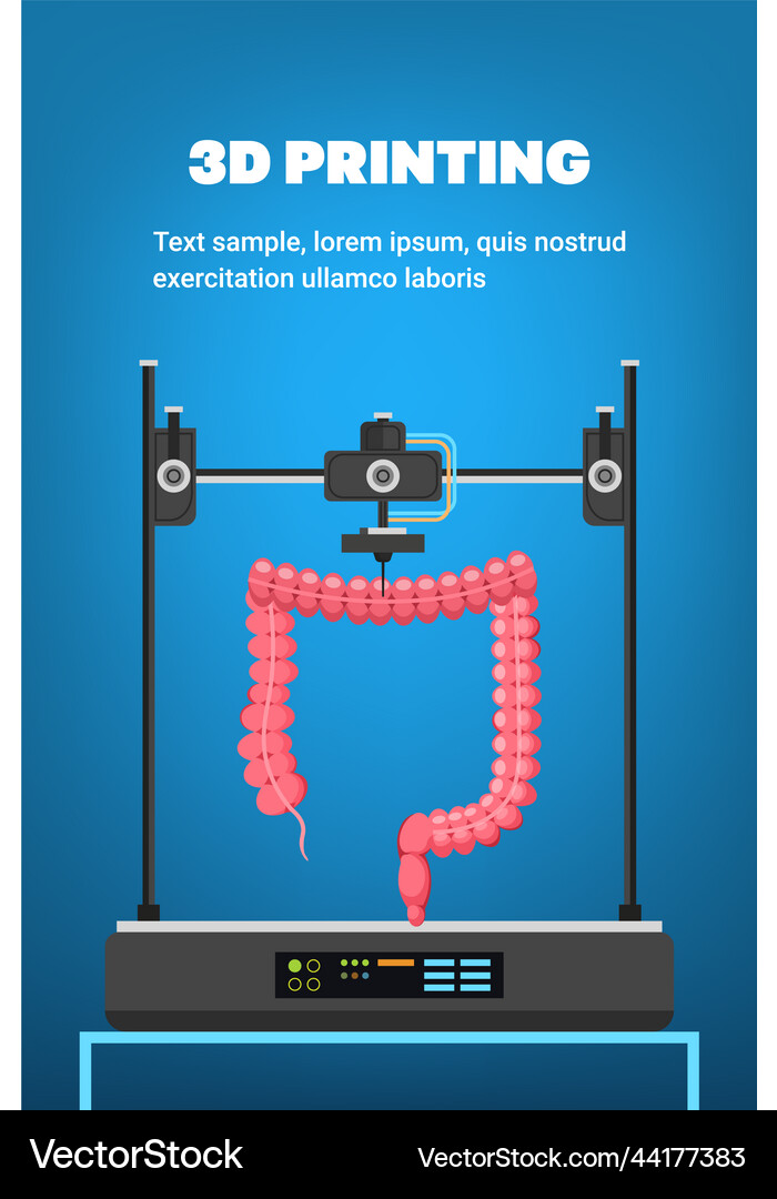 Intestine digestive system gastrointestinal tract Vector Image
