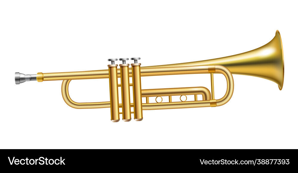 Trumpet on isolated background eps 10 Royalty Free Vector