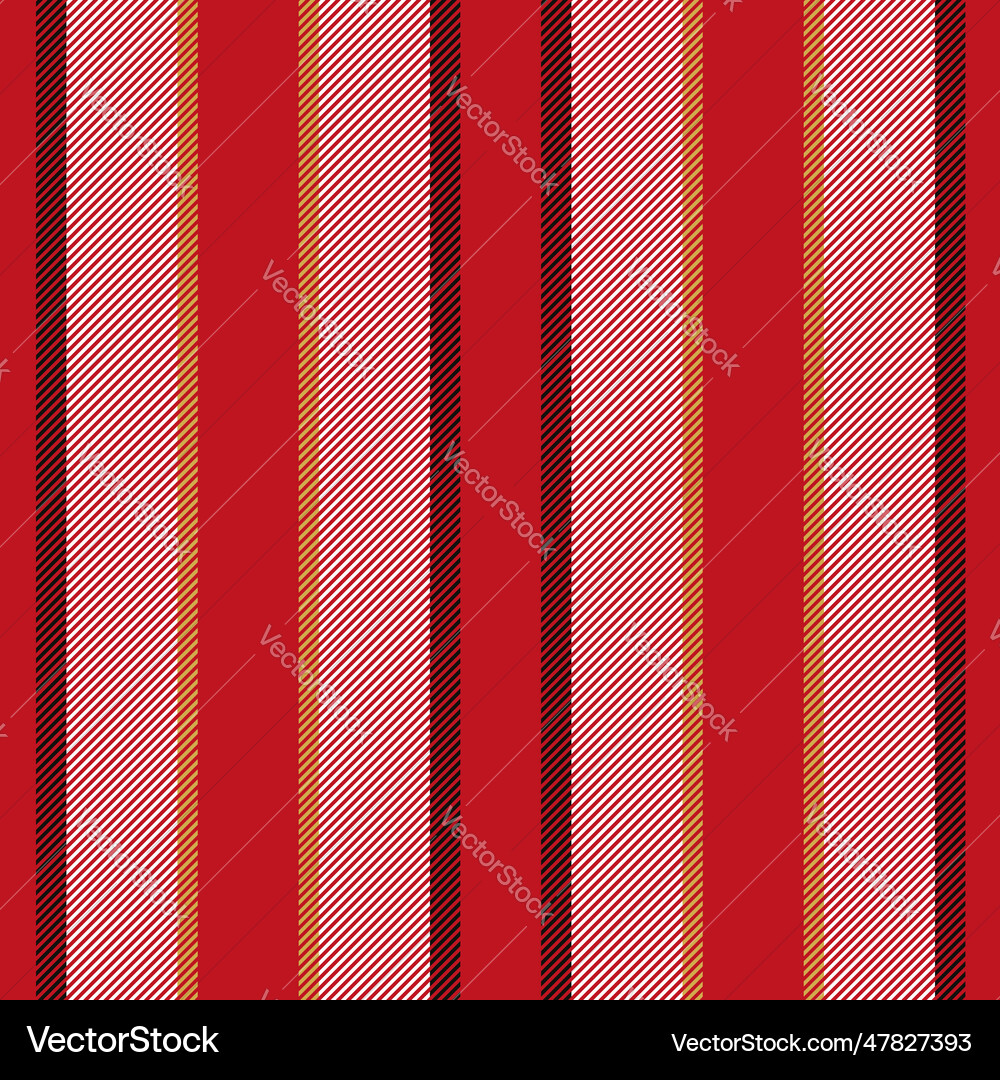 Vertical lines stripe pattern stripes background Vector Image