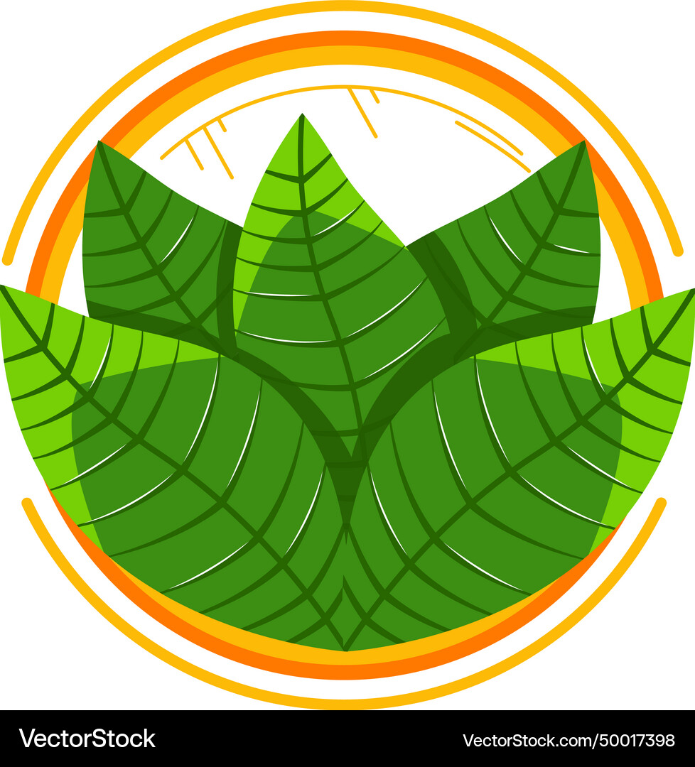 Green leaves with sun eco-friendly Royalty Free Vector Image