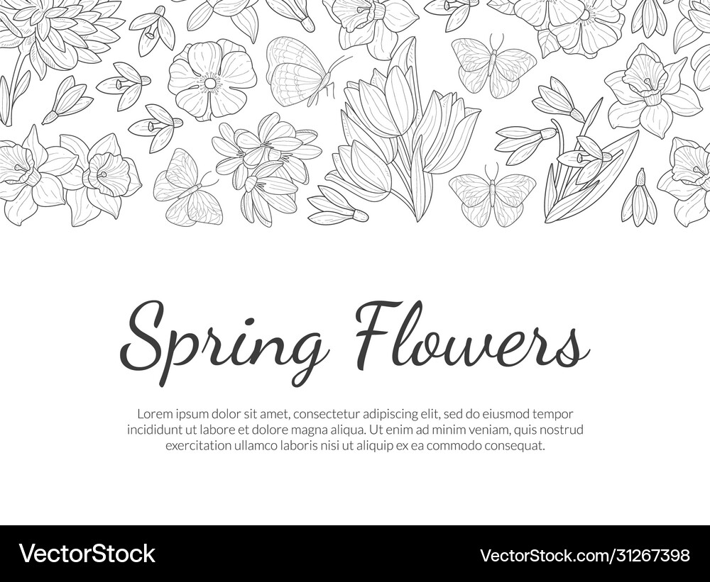 Spring flowers banner template with wild meadow Vector Image