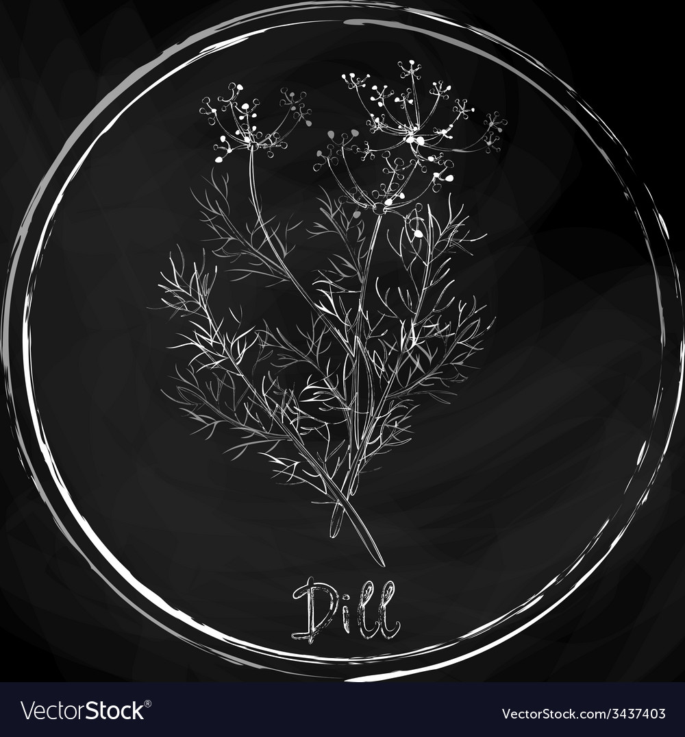 Dark dill Royalty Free Vector Image - VectorStock