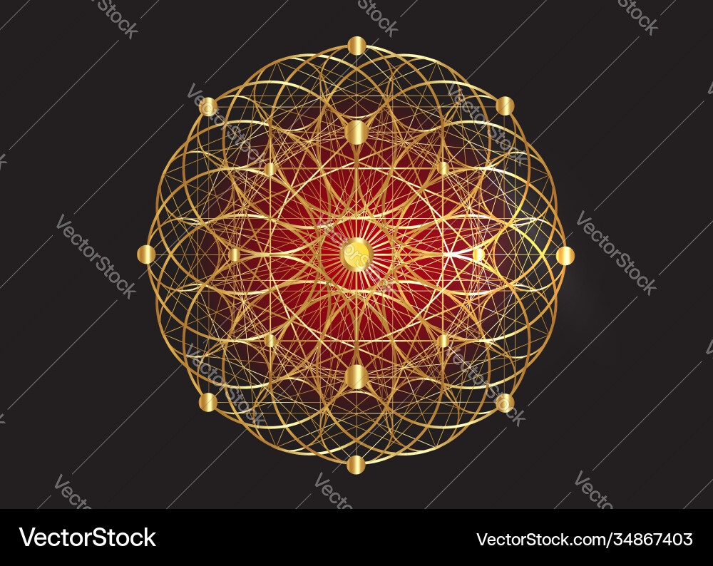 Geometric mystic mandala alchemy esoteric flower Vector Image