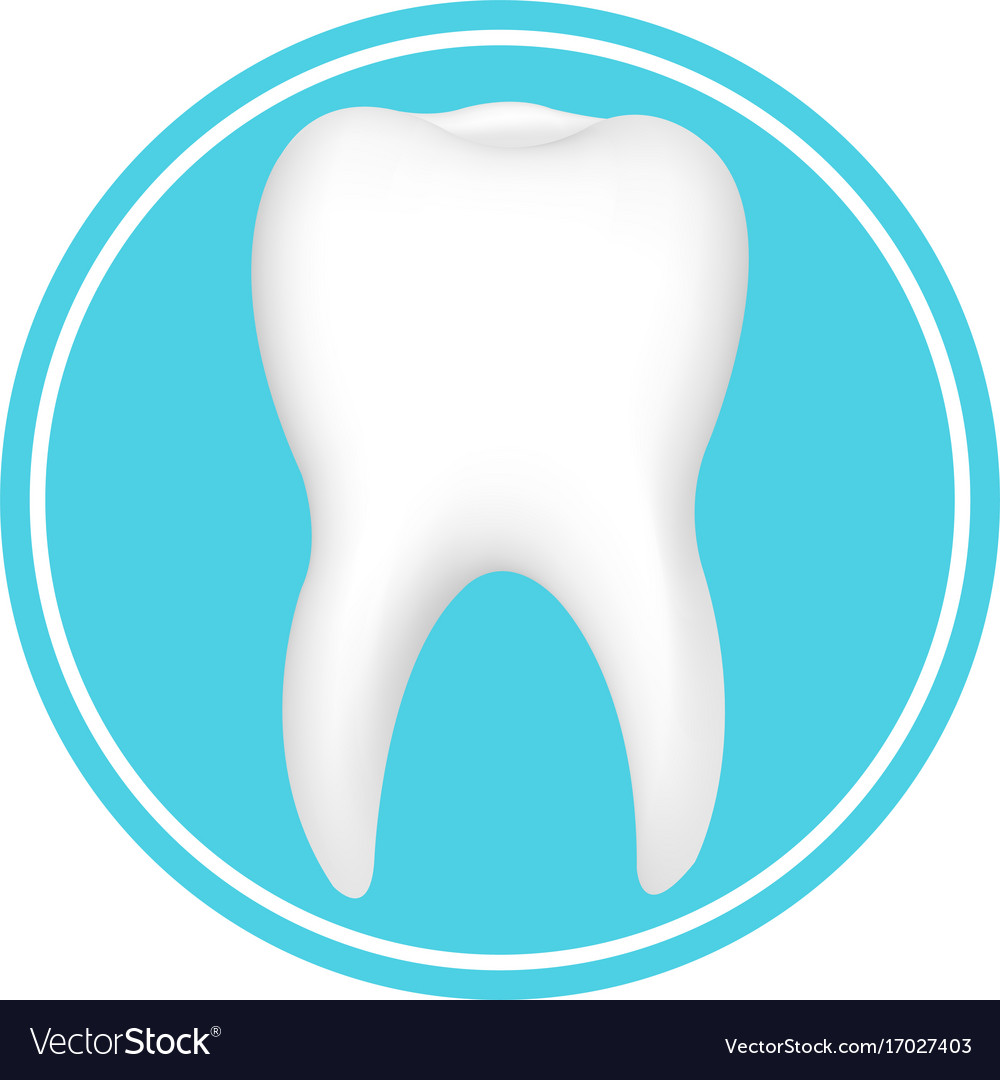 Tooth Royalty Free Vector Image - VectorStock