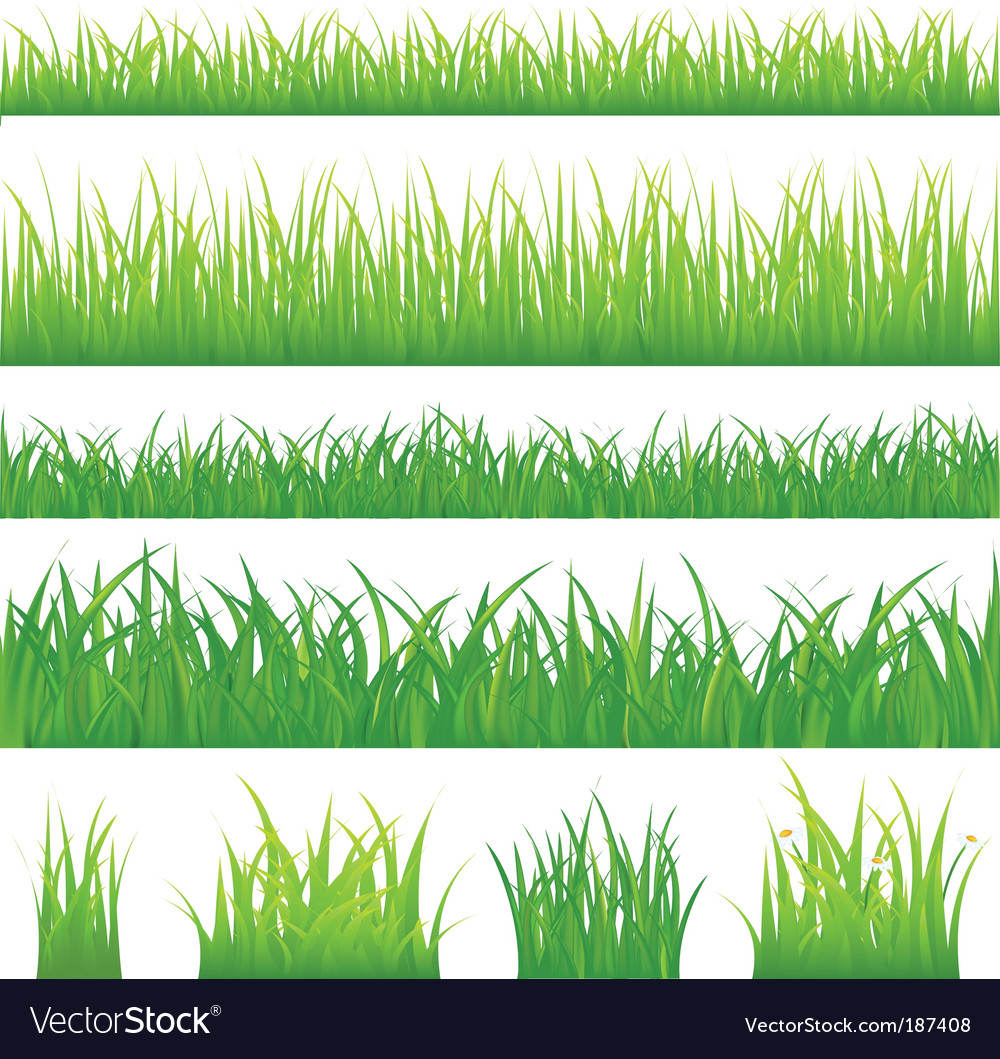 Grassy borders Royalty Free Vector Image - VectorStock