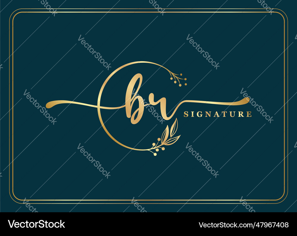 Luxury signature initial br logo design isolated Vector Image
