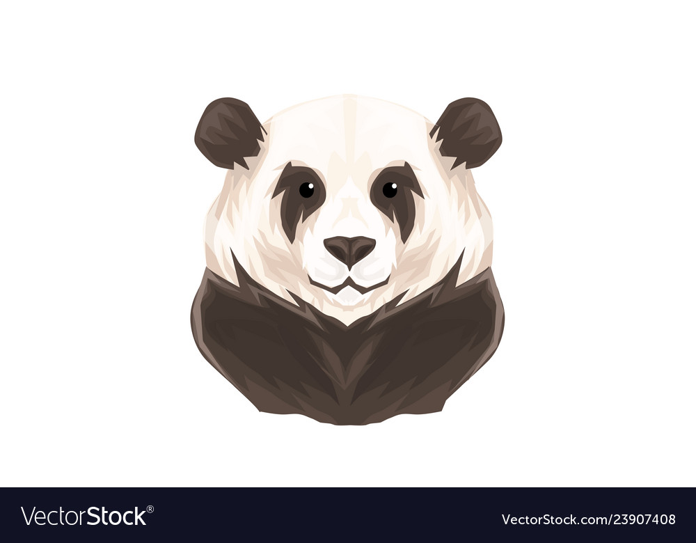 Panda Royalty Free Vector Image - VectorStock