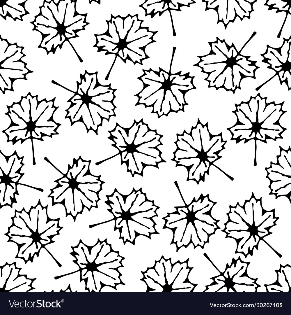 Seamless pattern with hand drawn maple leaf Vector Image