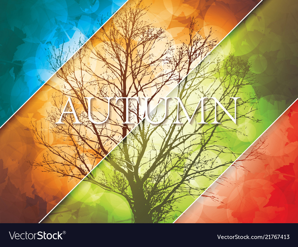 Autumn tree Royalty Free Vector Image - VectorStock