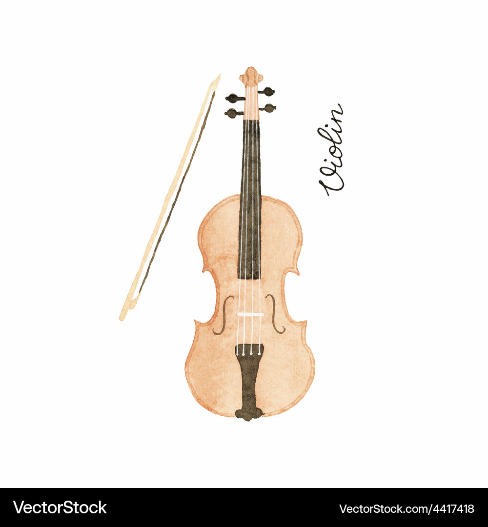 Watercolor violin on the white background Vector Image