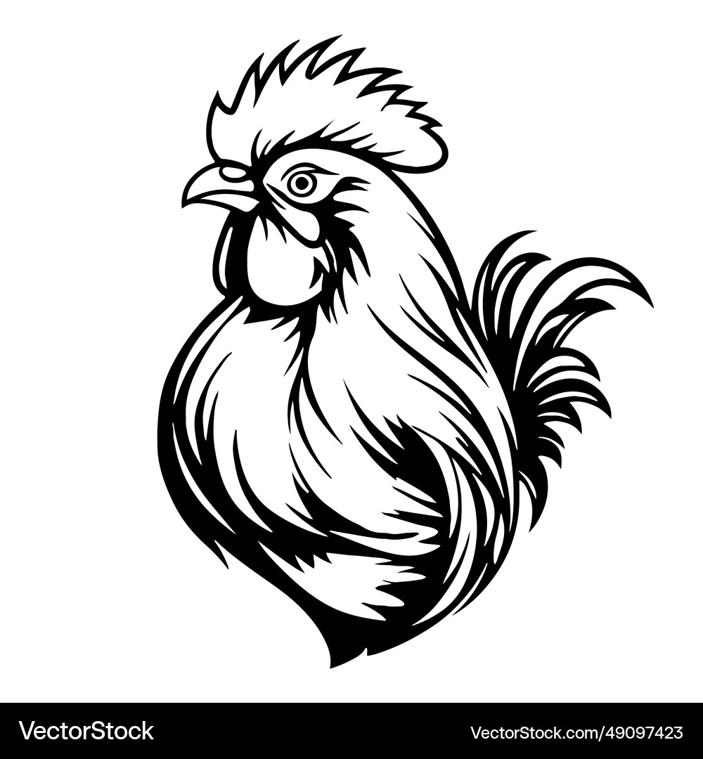 Of rooster head in engraving Royalty Free Vector Image