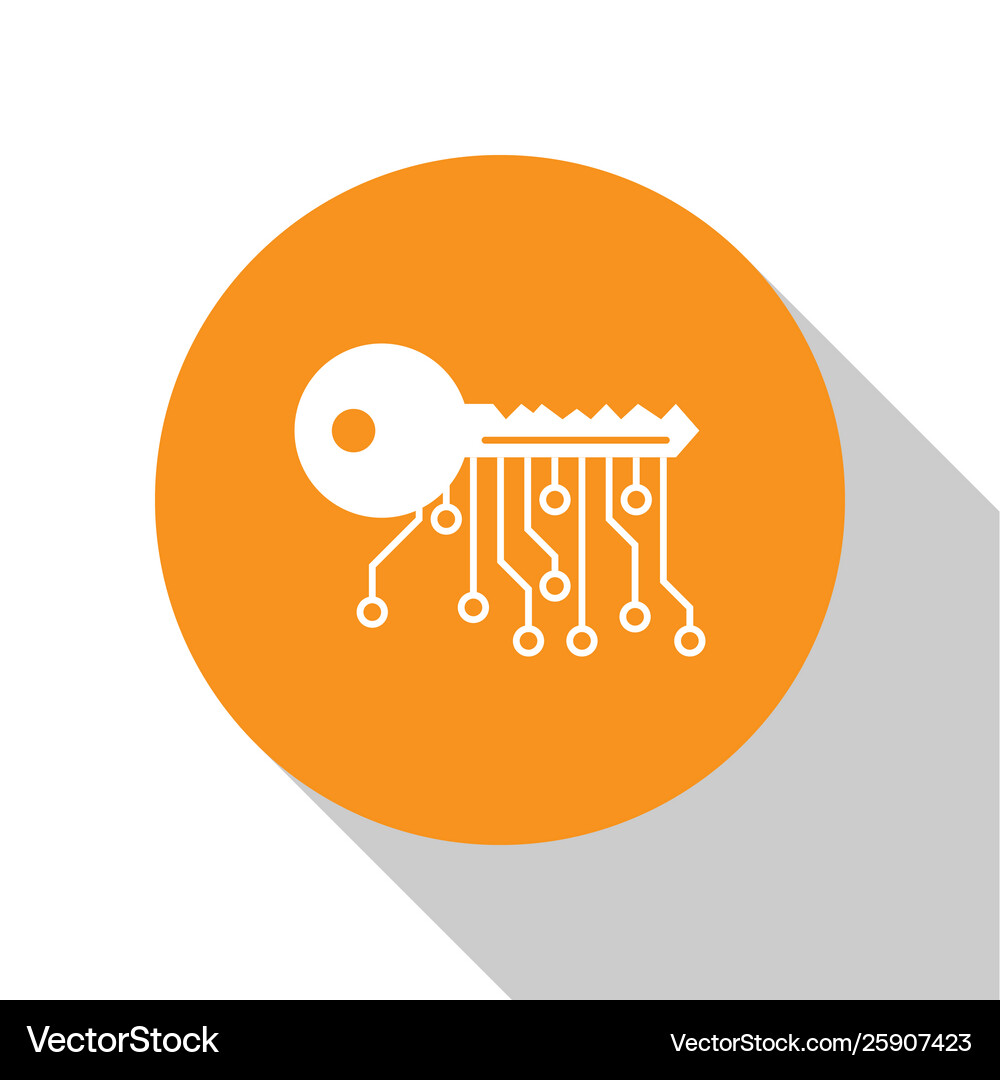 White cryptocurrency key icon isolated on Vector Image