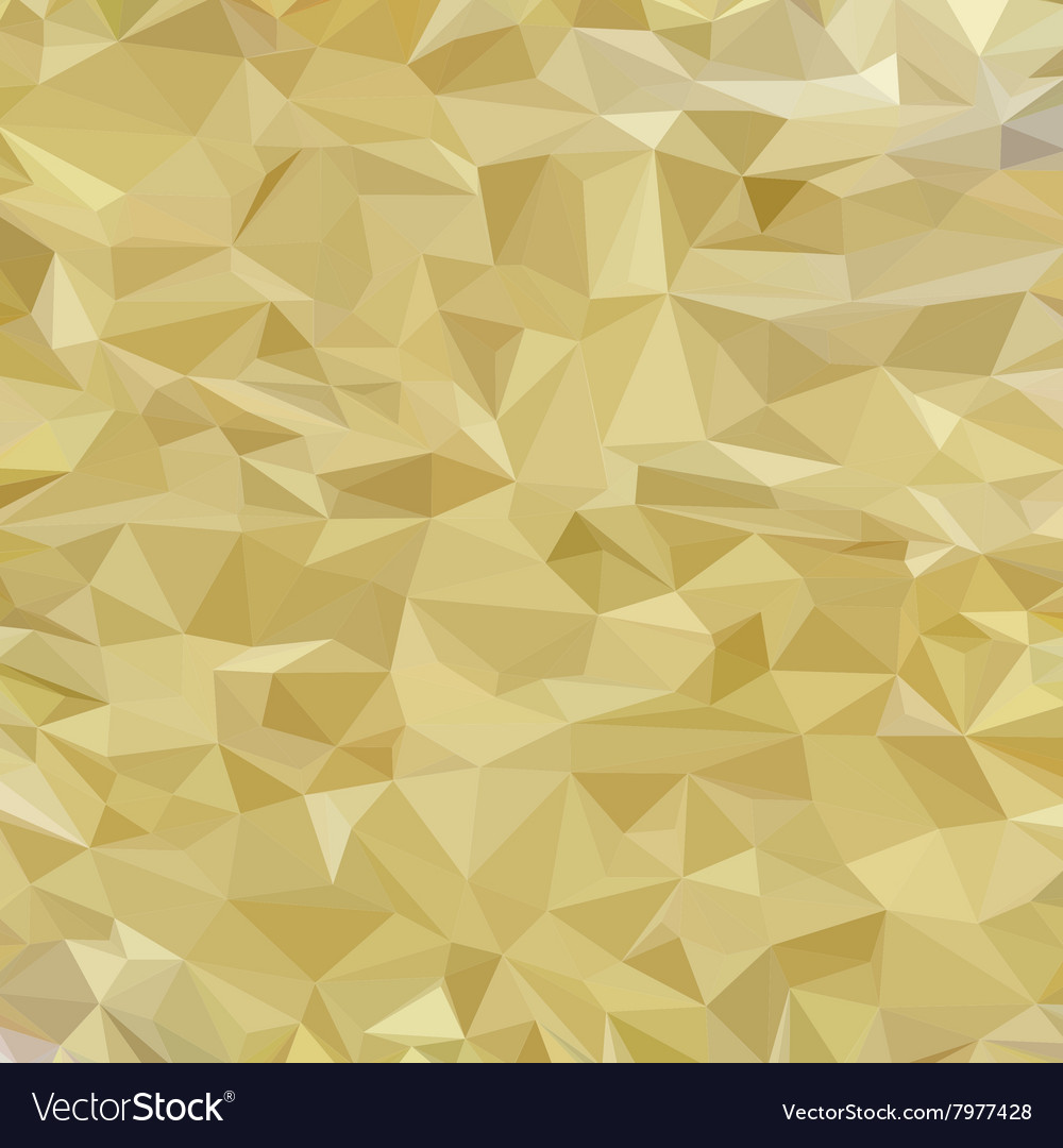 Abstract creative concept low poly triangle Vector Image