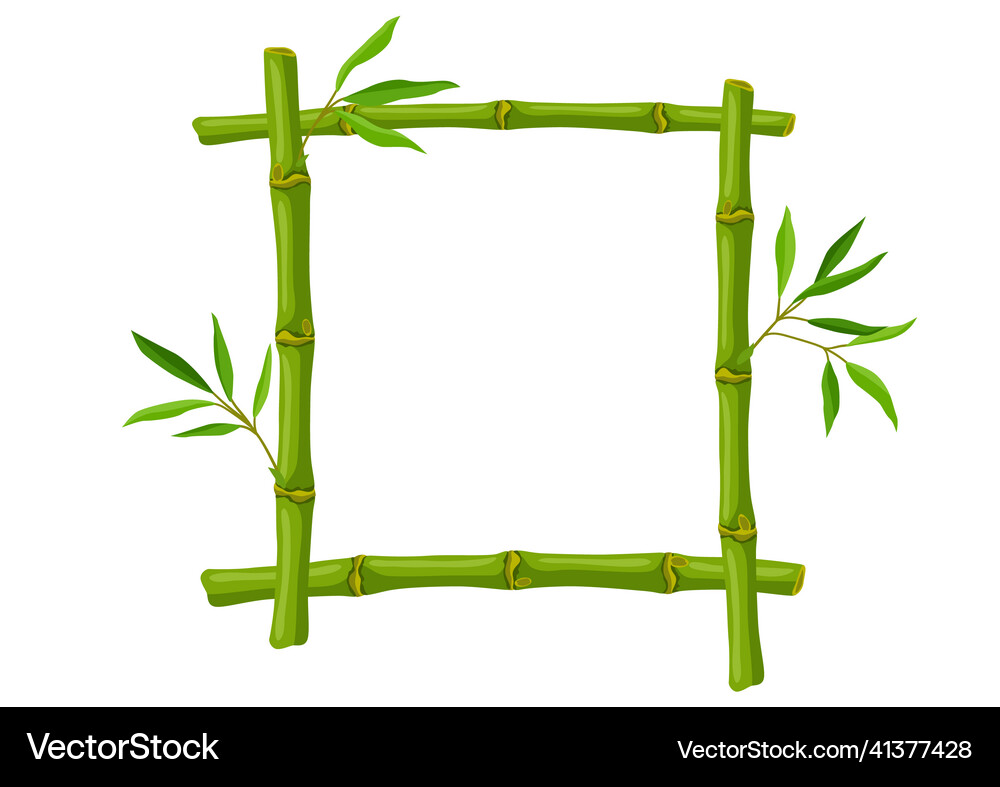 Frame with green bamboo stems and leaves Vector Image