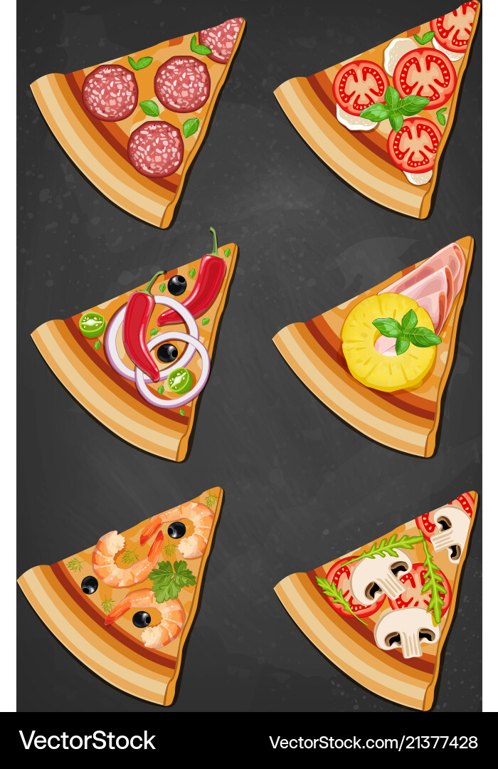 Various slices of pizza Royalty Free Vector Image