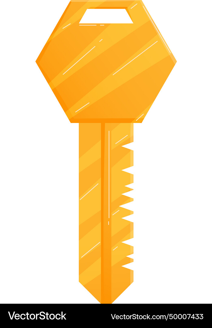 Bright golden key with geometric design and shiny Vector Image