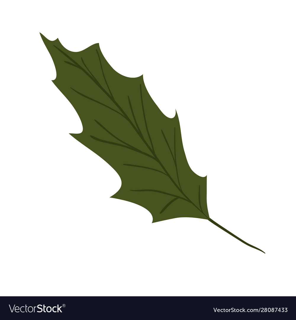 Isolated Leaf Icon Design Royalty Free Vector Image