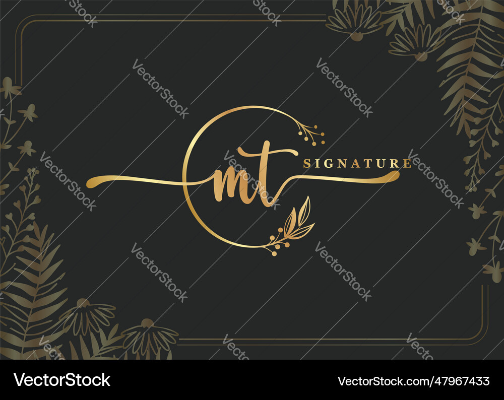 Luxury gold signature initial mt logo design Vector Image