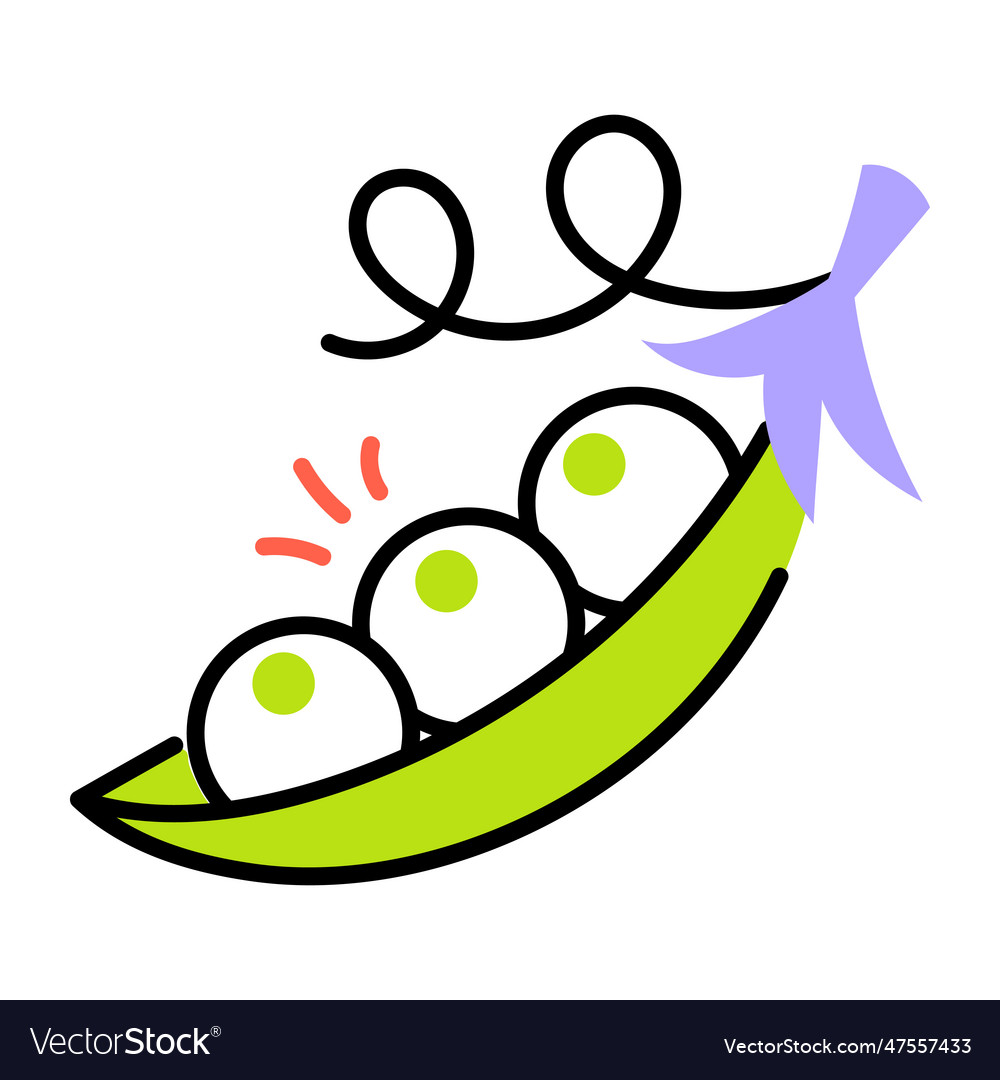 Peas Royalty Free Vector Image - VectorStock