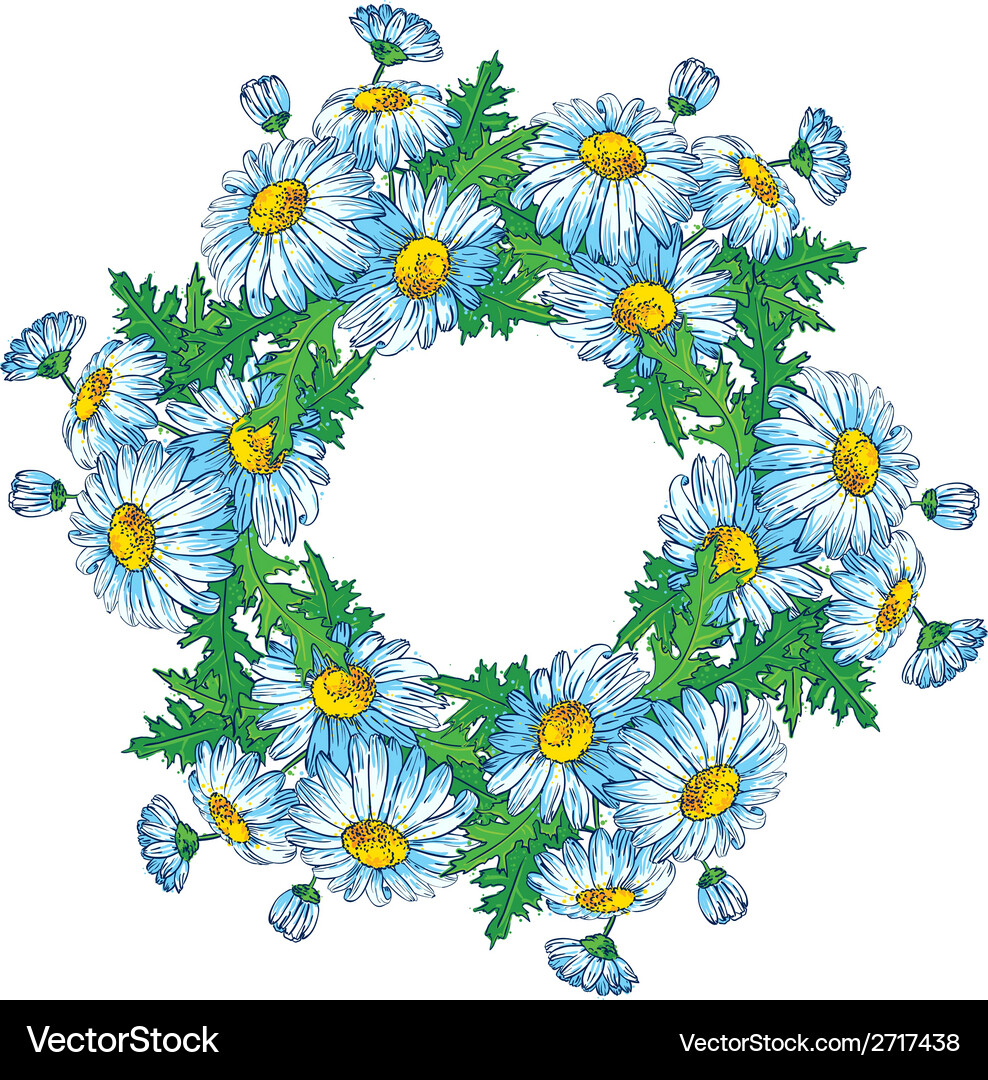 Bouquet of daisies Royalty Free Vector Image - VectorStock