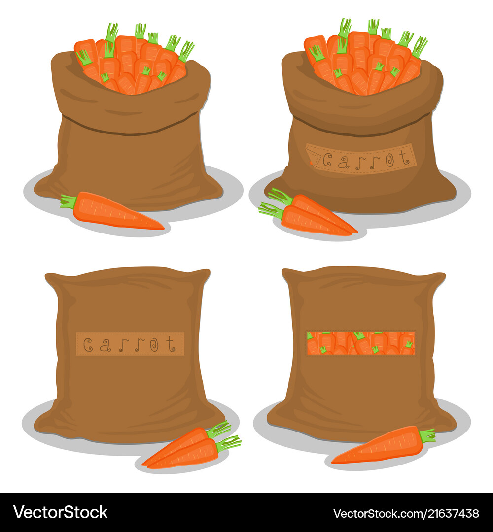 Sacks with natural food Royalty Free Vector Image