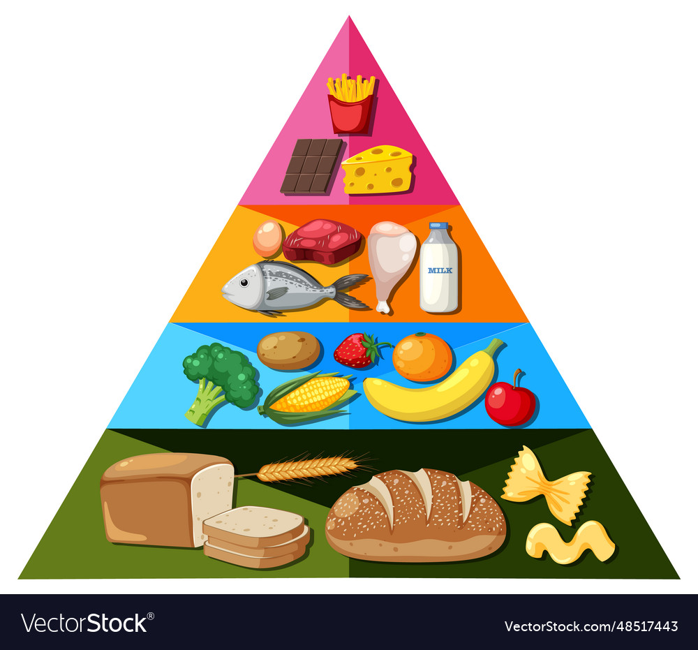 Cartoon food pyramid infographic a visual guide Vector Image