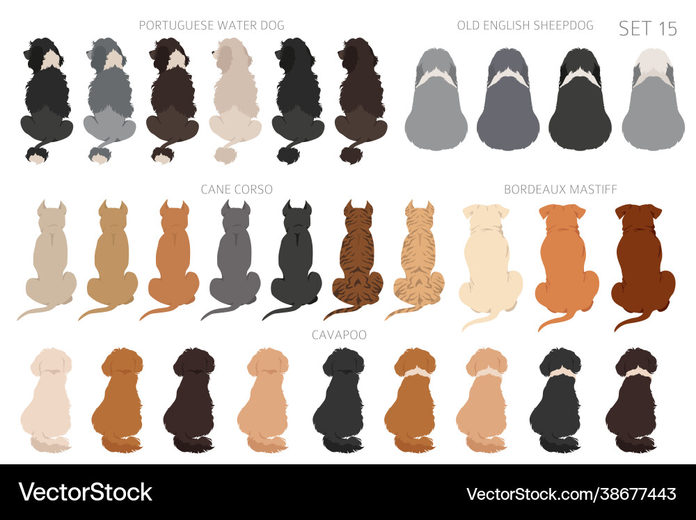 Sitting dogs backside clipart rear view Royalty Free Vector