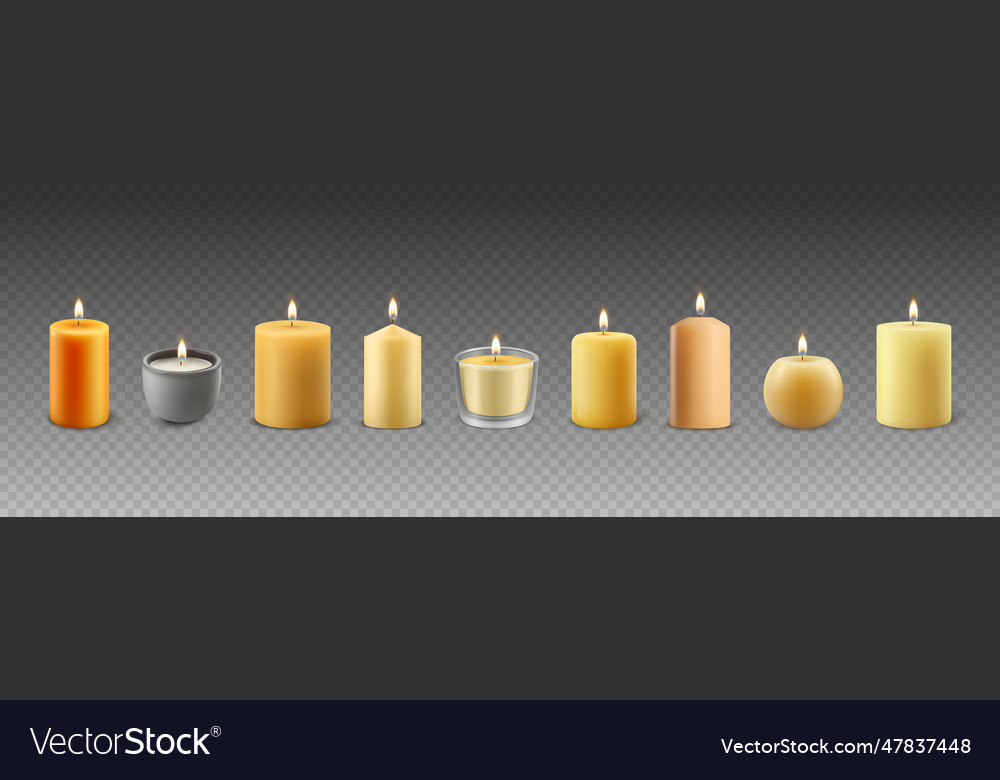 3d realistic different paraffin wax burning Vector Image 3d realistic different paraffin wax burning Vector Image