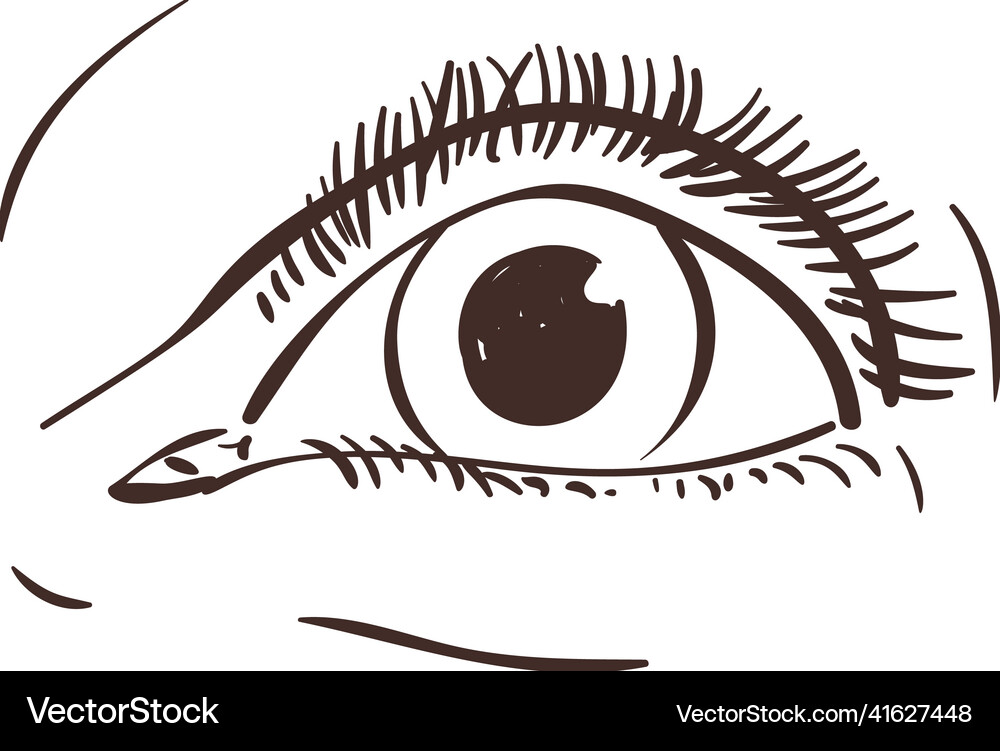 Eye Royalty Free Vector Image - VectorStock