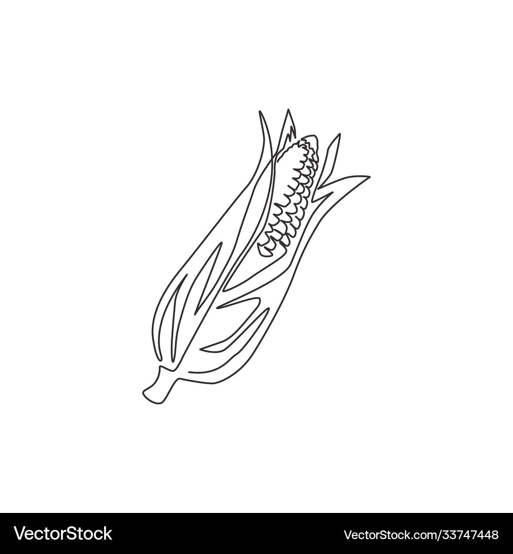 One single line drawing whole healthy organic Vector Image