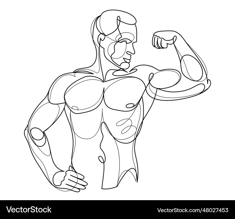 Athletic man torso linear male beauty with Vector Image