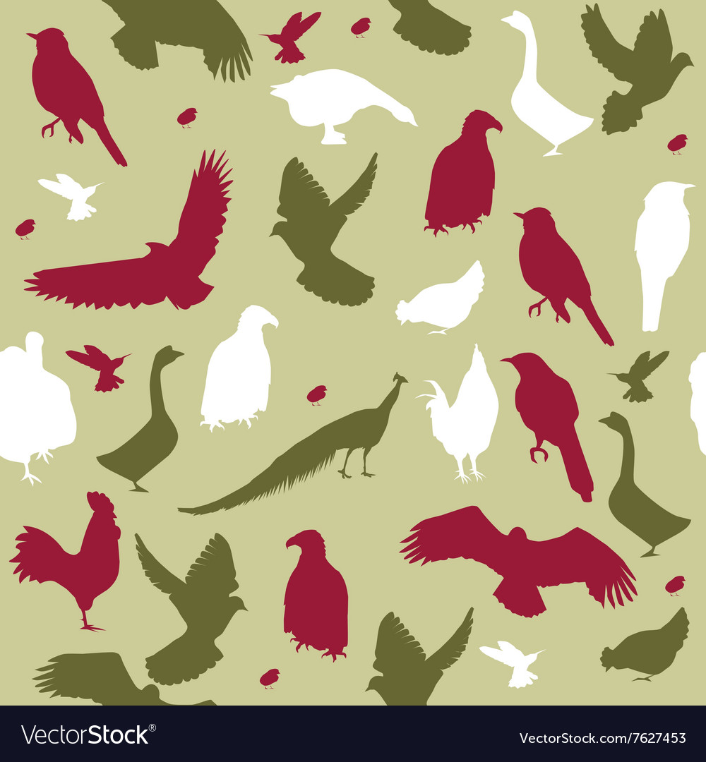 Birds Royalty Free Vector Image - VectorStock