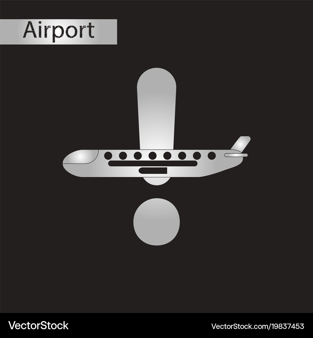 Black and white style icon airplane Royalty Free Vector