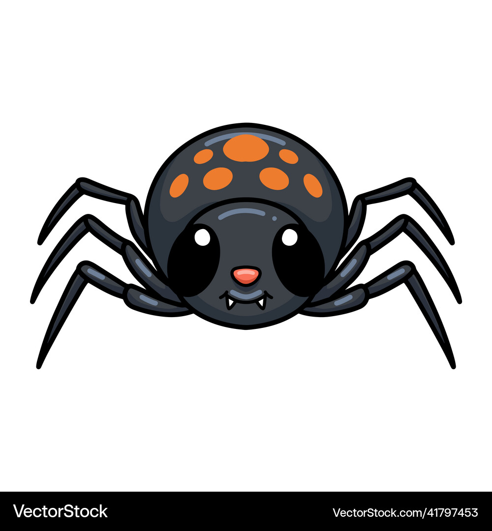 Cute Spider Illustration