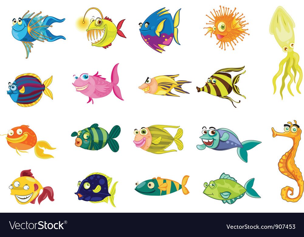 Fish collection Royalty Free Vector Image - VectorStock