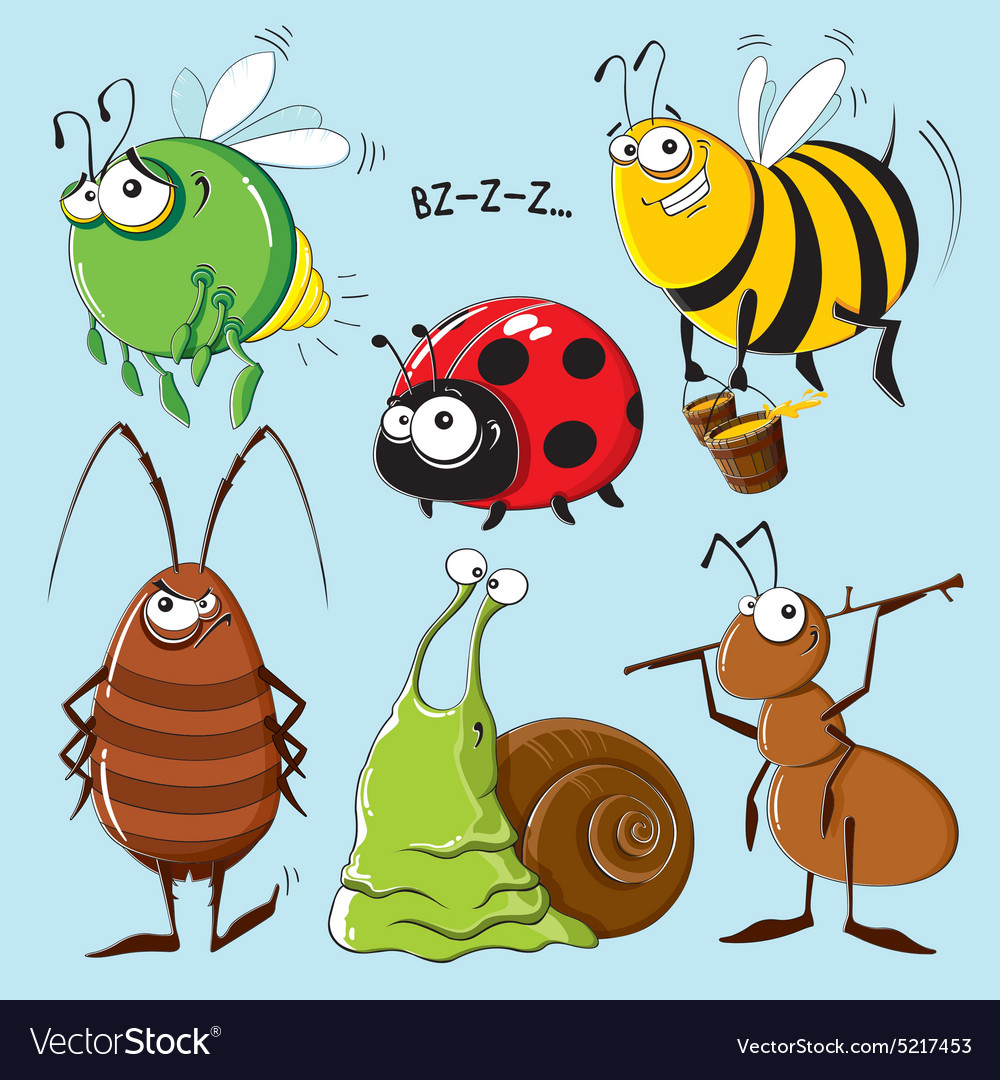 Insects Royalty Free Vector Image - VectorStock