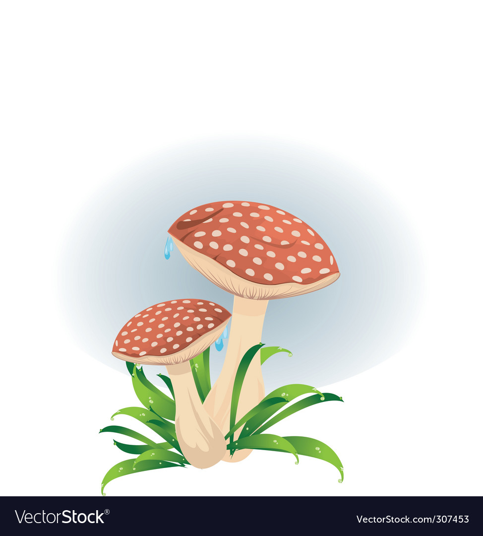 Toadstools Royalty Free Vector Image - VectorStock