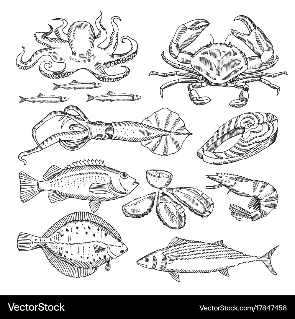 Hand drawing sea food Royalty Free Vector Image