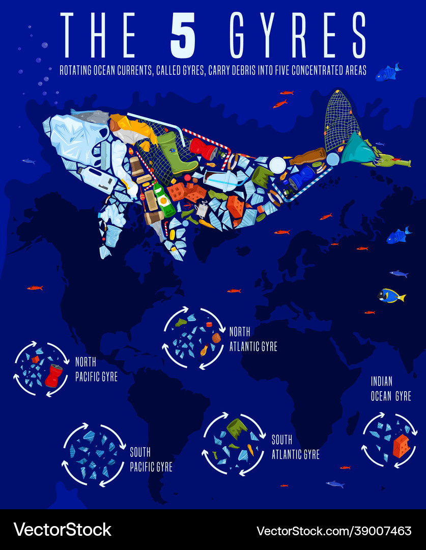 5 gyres scientific infographic vertical Royalty Free Vector
