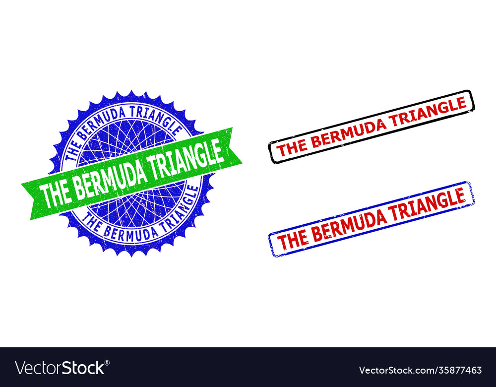 Bermuda triangle rosette and rectangle bicolor Vector Image