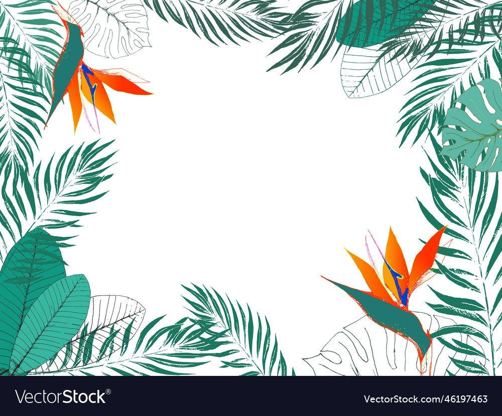 Eco tropical template with place for text jungle Vector Image