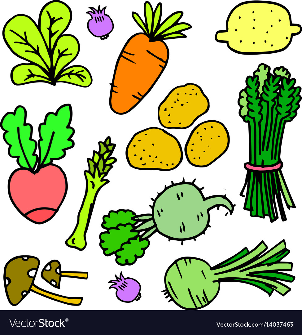 Set of fresh vegetable doodles Royalty Free Vector Image