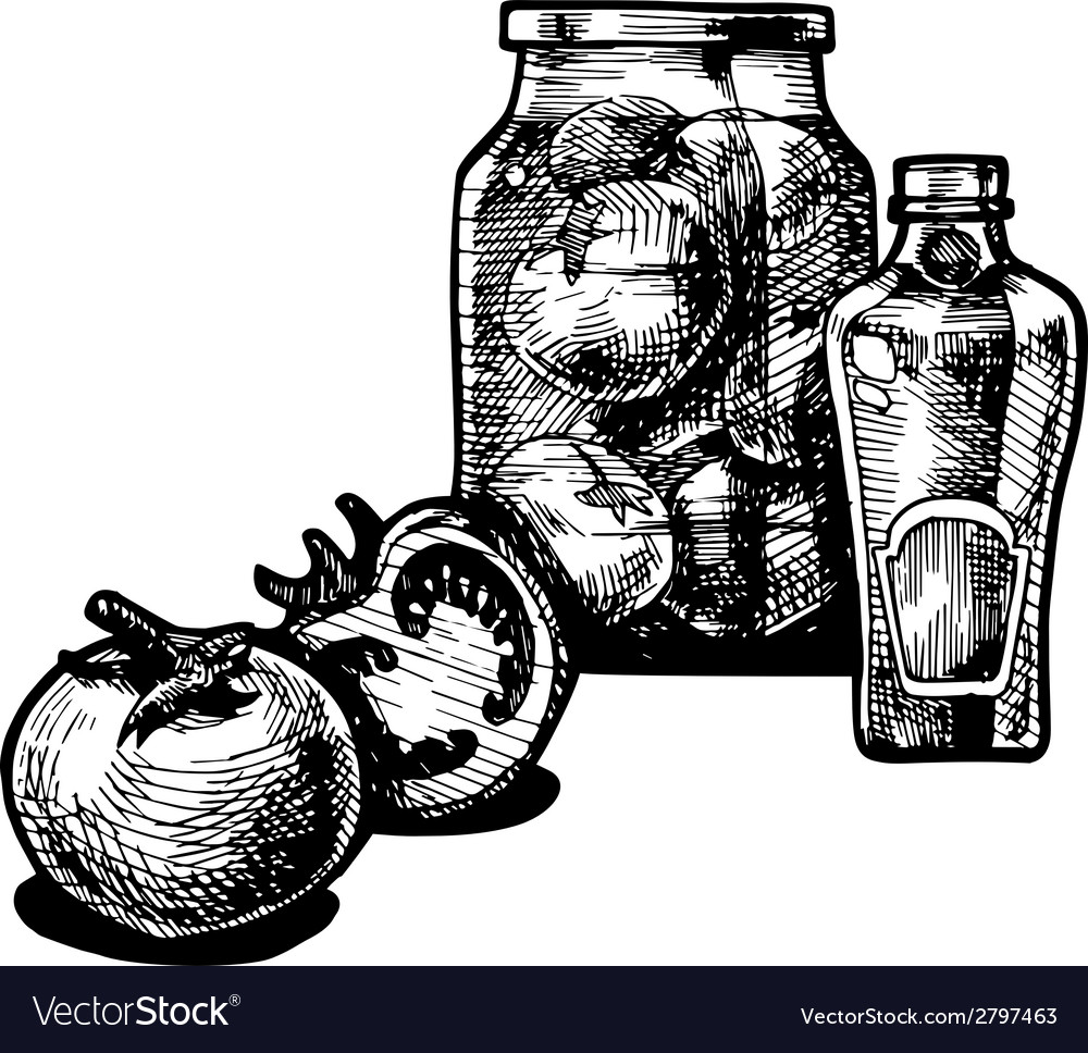 Tomato Royalty Free Vector Image - VectorStock Tomato Royalty Free Vector Image - VectorStock