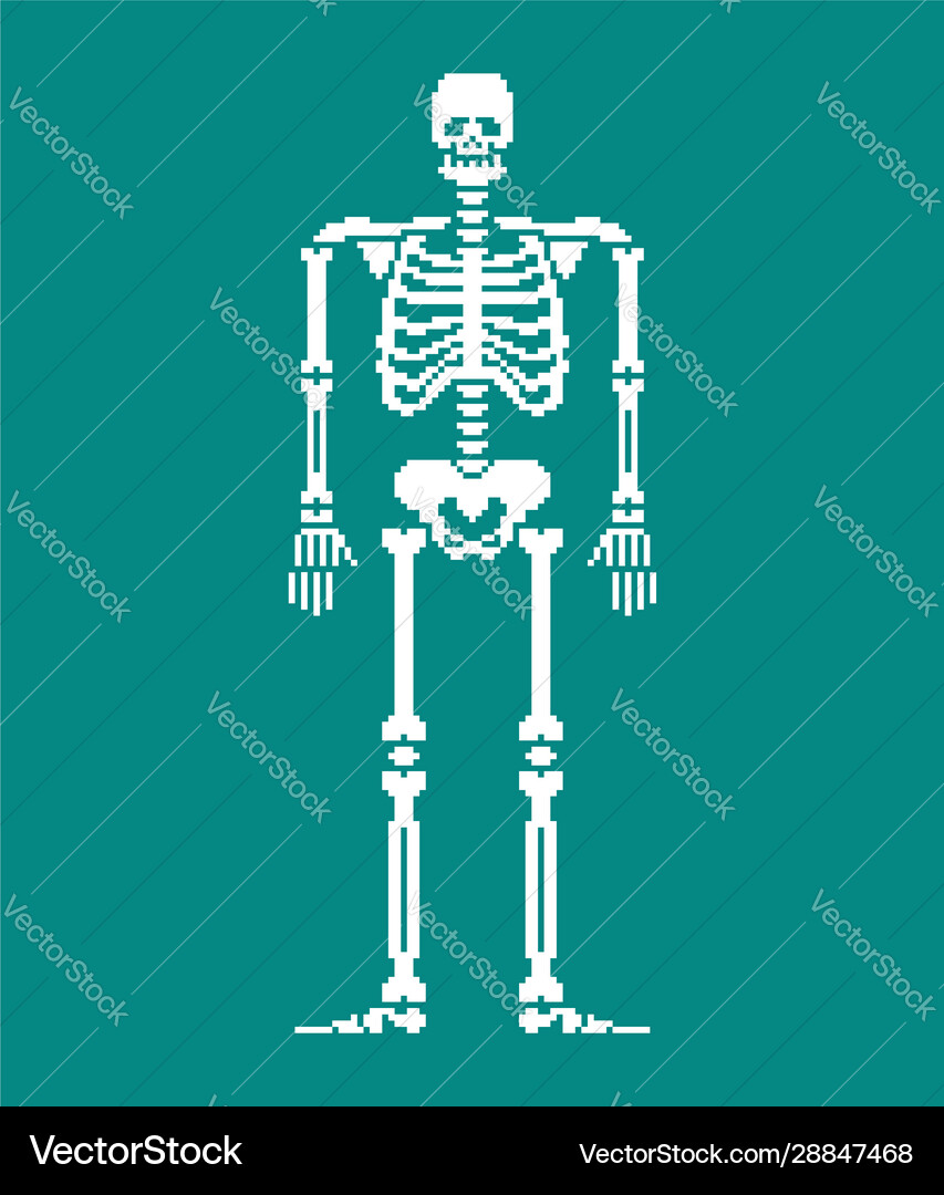 Skeleton pixel art skull and bones anatomy 8 bit Vector Image