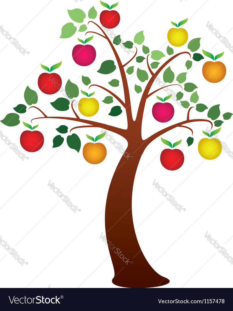 Apple tree Royalty Free Vector Image - VectorStock