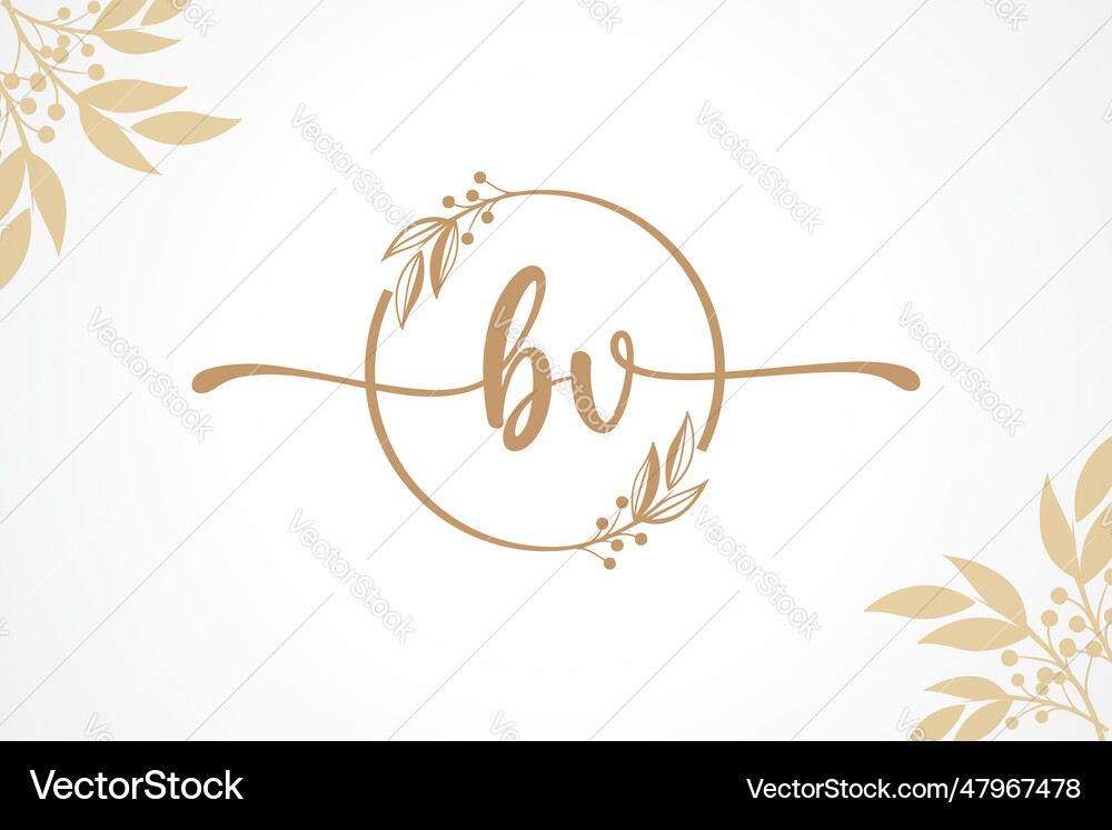 Luxury signature initial bv logo design isolated Vector Image