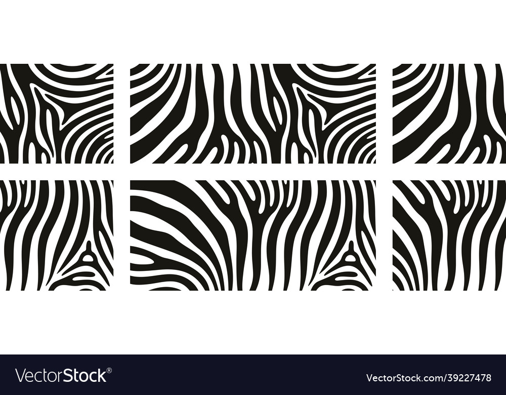 Zebra texture pattern Royalty Free Vector Image
